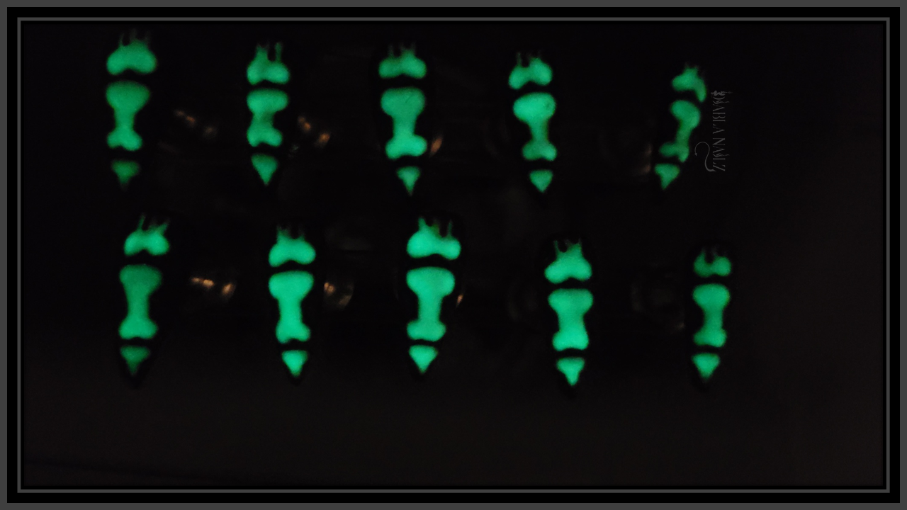 Skeleton Glow – Diablanailz Llc